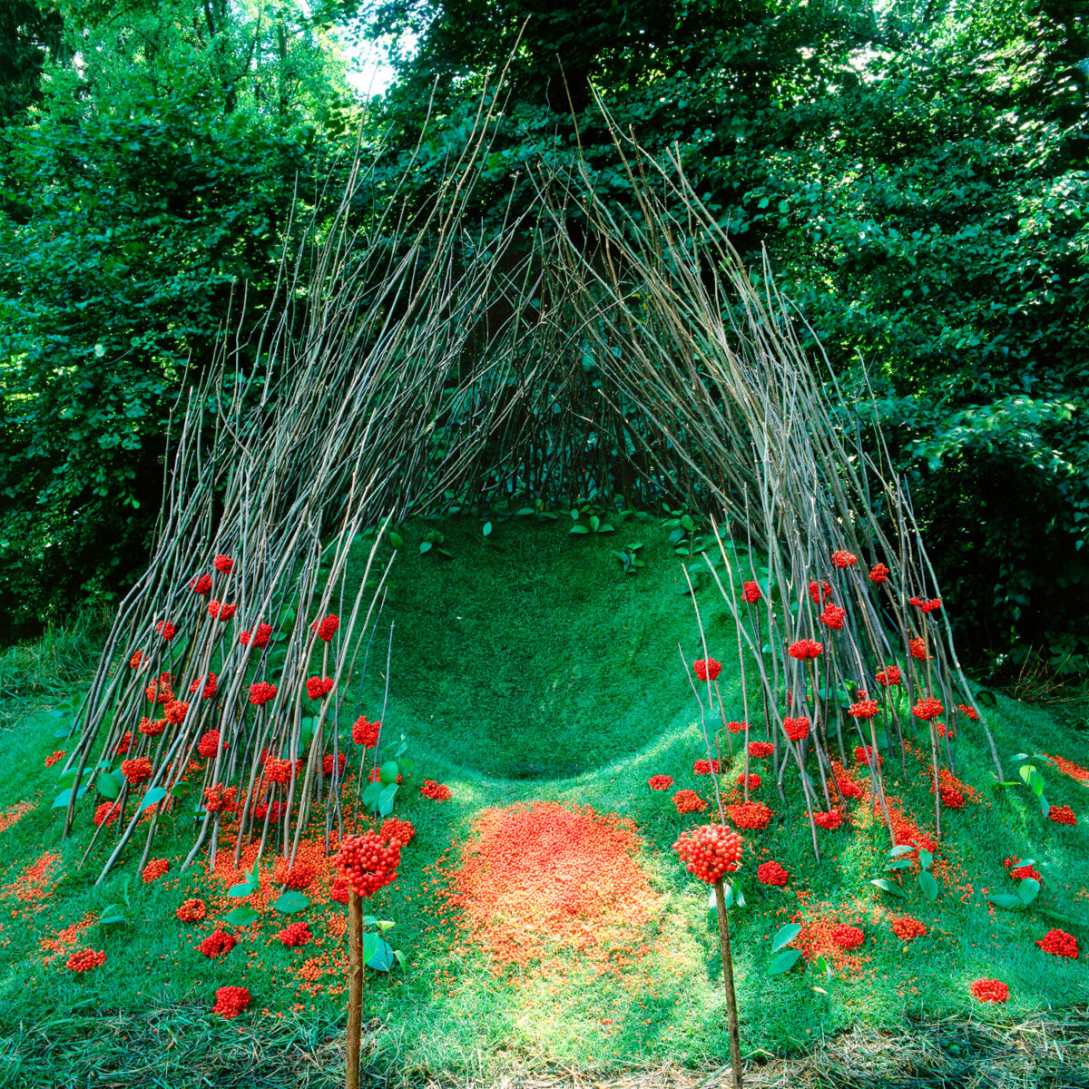 Nils Udo sublime la nature | Centre d'art contemporain de la Matmut