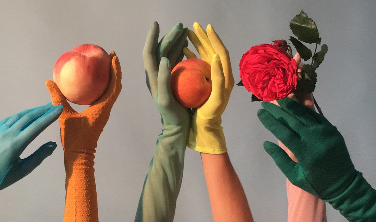 Doan Ly: Floral thoughts | A Fisheye Magazine portfolio